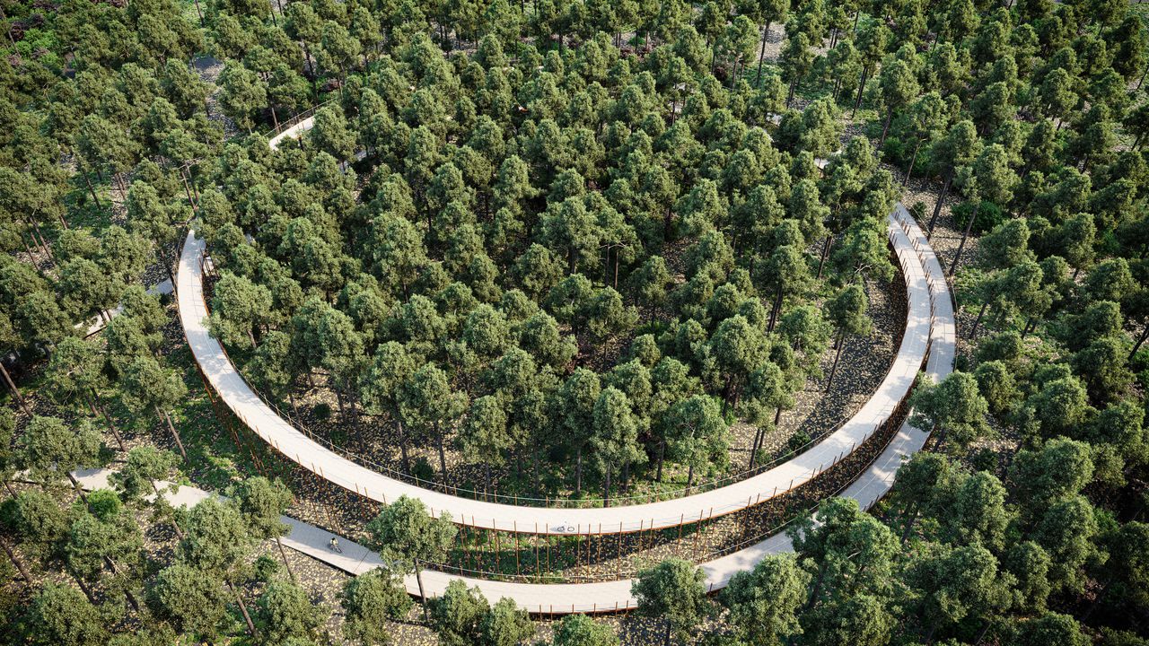 Karrewiet: Cirkelvormige fietsbrug in Limburg | Ketnet